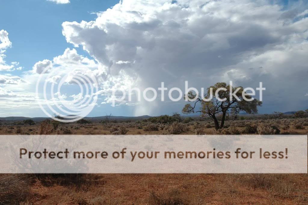 A little bit of South Australia, herp light unfortunately... - Field ...